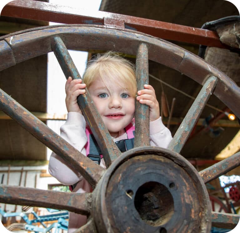 Plan Your Visit to Greenan Maze